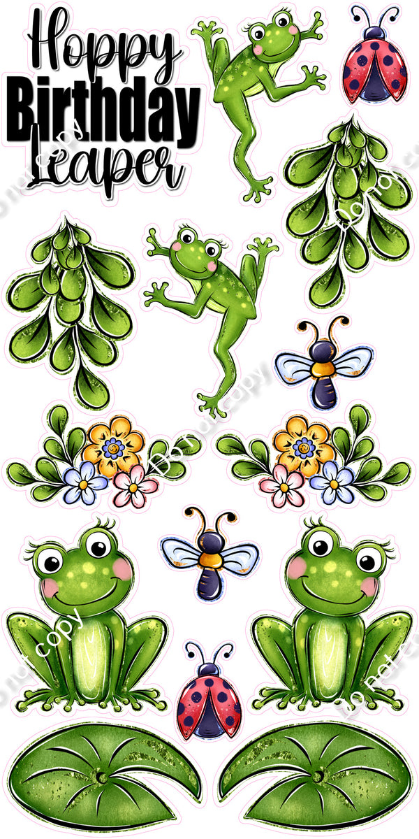 15 pc Frog Birthday Set| Sign Swag USA