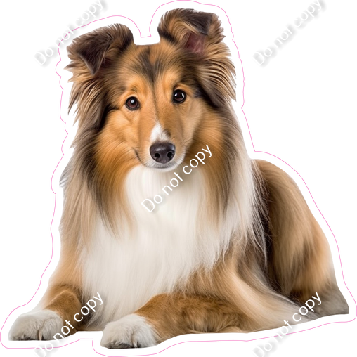 Sheltie Dog| Sign Swag USA