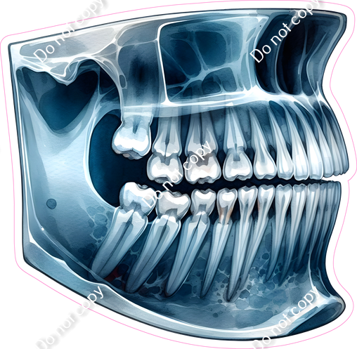 Dental - X-Ray| Sign Swag USA