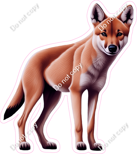 Dingo Dog| Sign Swag USA