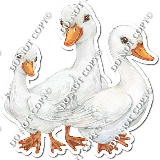 3 Geese| Sign Swag USA
