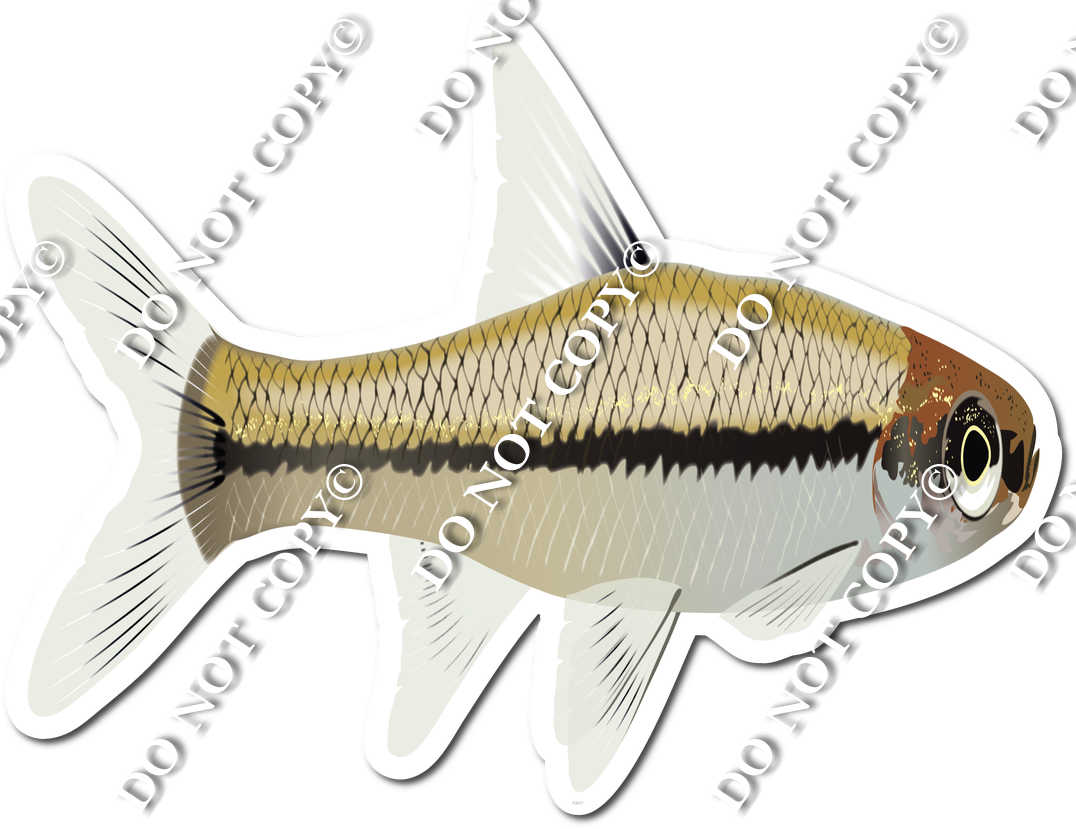 Mino Fish| Sign Swag USA