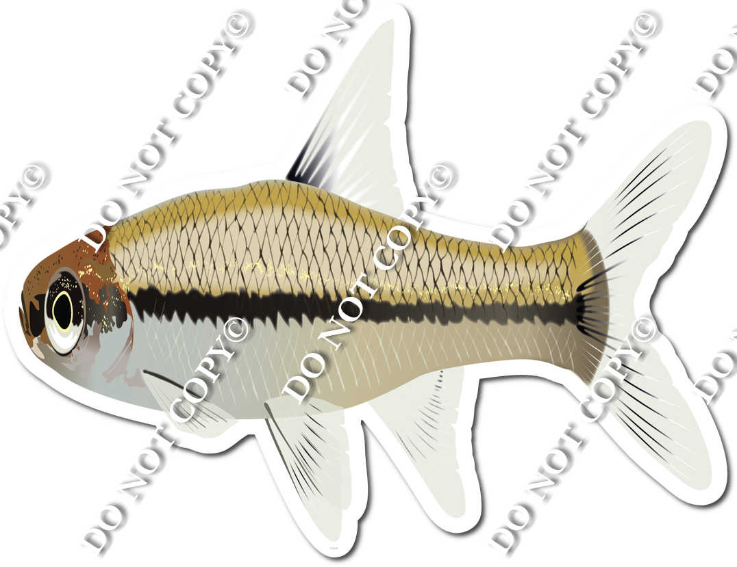 Mino Fish| Sign Swag USA