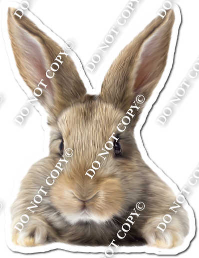 Rabbit 1| Sign Swag USA