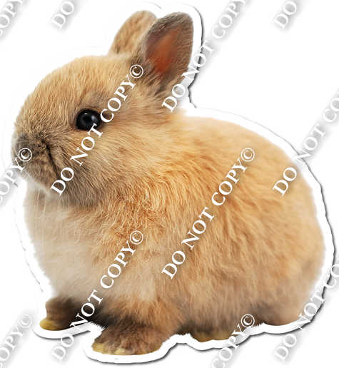 Rabbit 4| Sign Swag USA