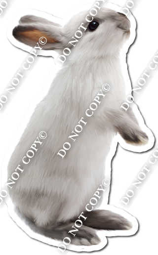 Rabbit 7| Sign Swag USA