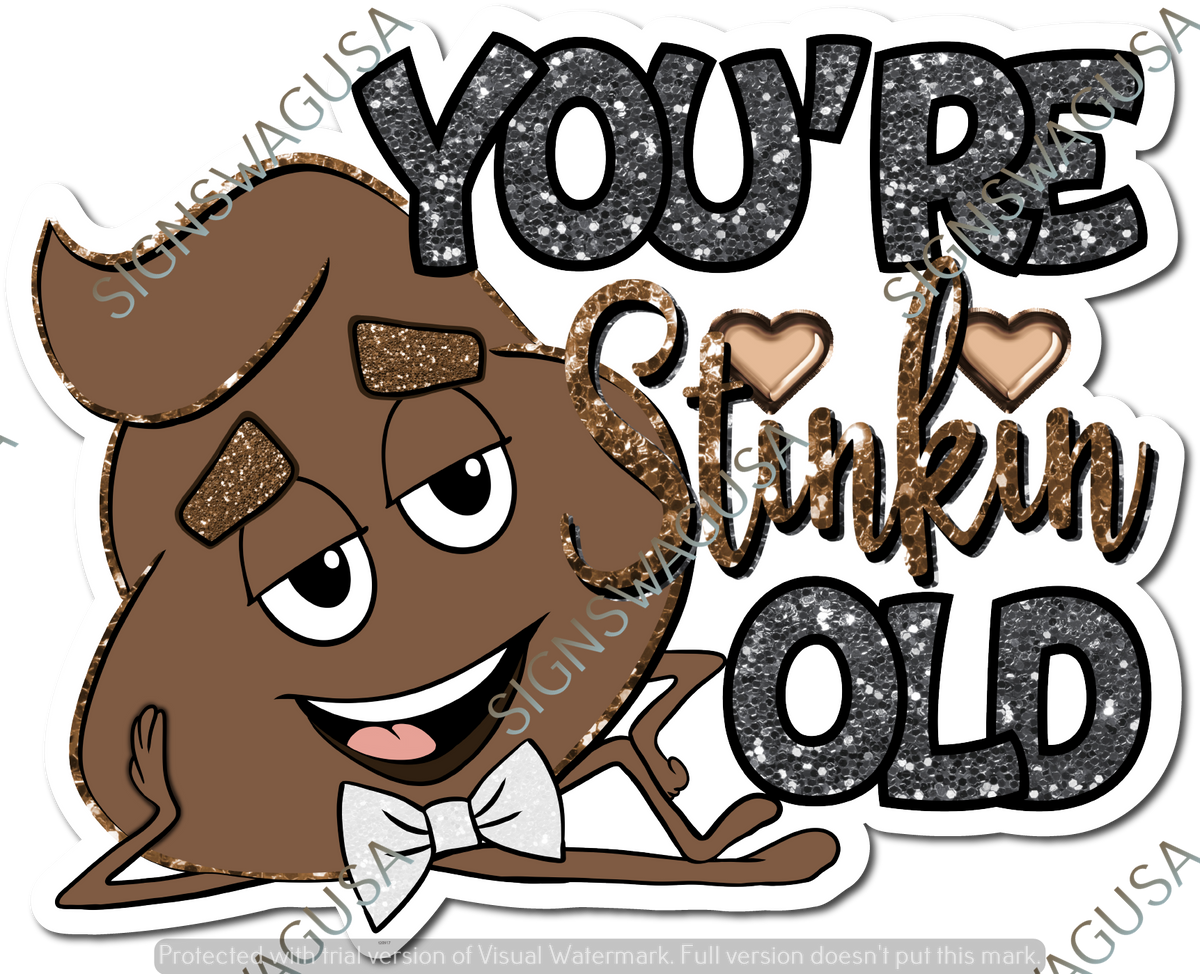 Silver - You're Stinkin Old Statement - Poo Emoji w/ Variants| Sign ...