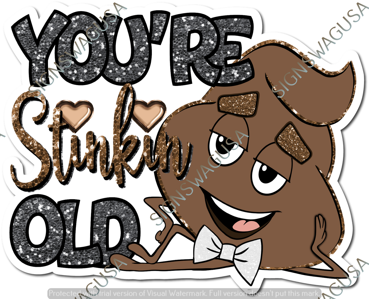 Silver - You're Stinkin Old Statement - Poo Emoji| Sign Swag USA