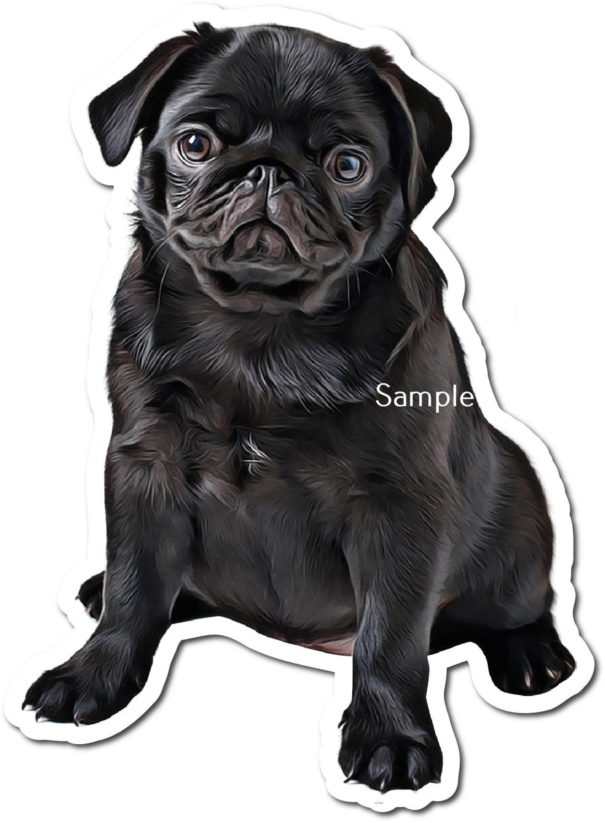 Black Pug| Sign Swag USA