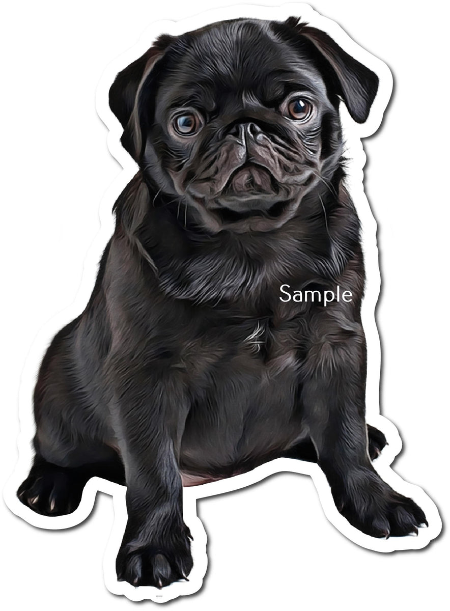 Black Pug| Sign Swag USA